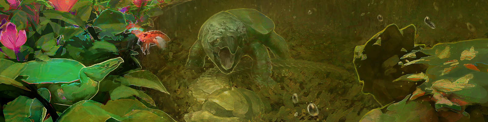 Kappa: The World of Turtles